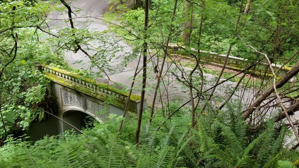 FRINK PARK - Updated July 2025 - 21 Photos - 398 Lake Washington Blvd S ...