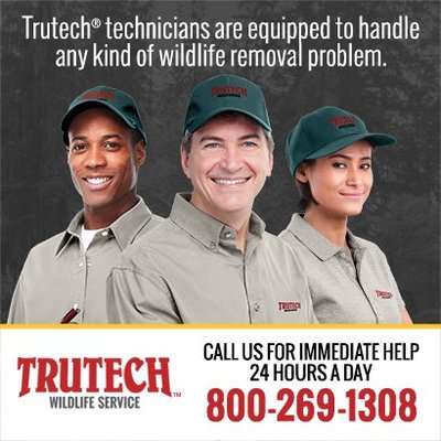 TRUTECH WILDLIFE SERVICE - Flower Mound, Texas - Pest Control - Phone ...