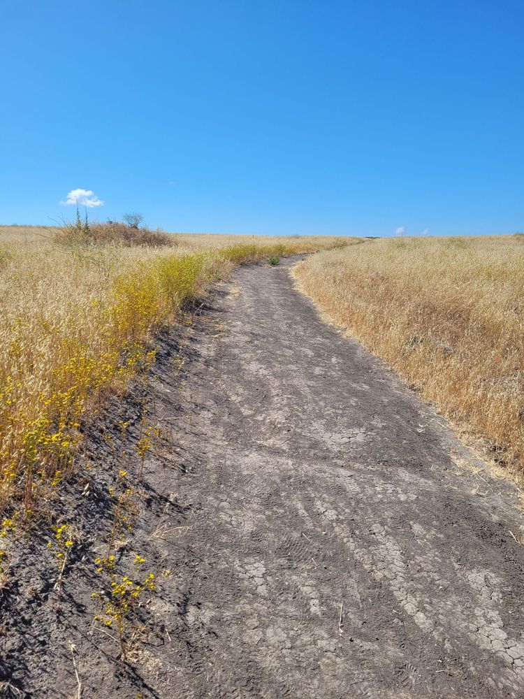 LASKY MESA IN UPPER LAS VIRGENES CANYON OPEN SPACE - Updated September ...