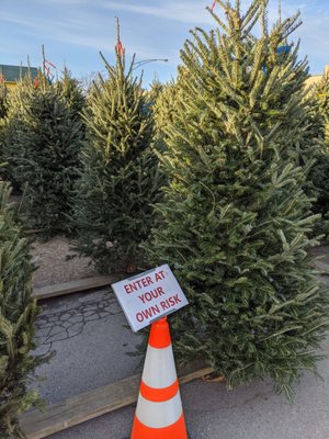 CLINTON BAILEY FARMERS MARKET - Updated December 2024 - 43 Photos & 26 ...