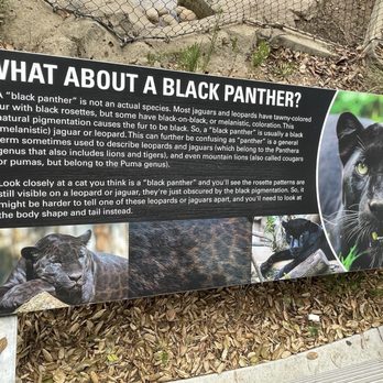 OC ZOO IRVINE REGIONAL PARK - Updated October 2025 - 111 Photos & 41 ...