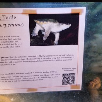 ELLANOR C LAWRENCE PARK - WALNEY VISITORS CENTER - Updated December ...