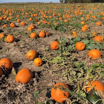 EXPLORATION ACRES - Updated May 2025 - 65 Photos & 33 Reviews - 6042 ...