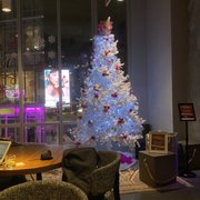 BAR MOXY - 76 Photos & 18 Reviews - Cocktail Bars - 240 Tremont St ...