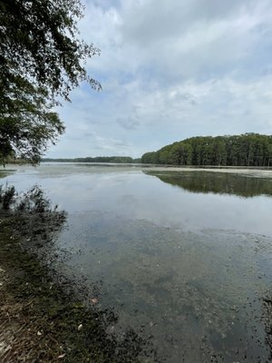 GIL WATERS LAKE MUNSON PRESERVE - Updated October 2025 - 1306 Jackson ...