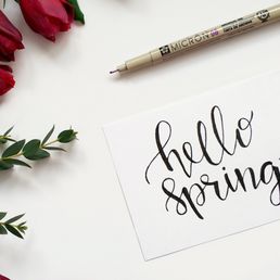 MaidPro Reviews | Read Customer Service Reviews of maidpro.com