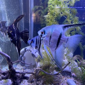 DFW REPTARIUM - Updated June 2025 - 96 Photos & 100 Reviews - 2220 Coit ...