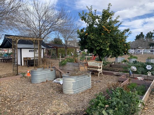 AGRITOPIA - 95 Photos & 35 Reviews - 3000 E Ray Rd, Gilbert, Arizona ...