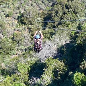 CATALINA ZIP LINE ECO TOUR - 806 Photos & 1670 Reviews - Descanso ...