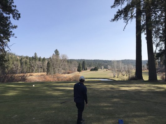 GRAEAGLE MEADOWS GOLF COURSE - 24 Photos & 21 Reviews - 6934 Hwy 89 ...