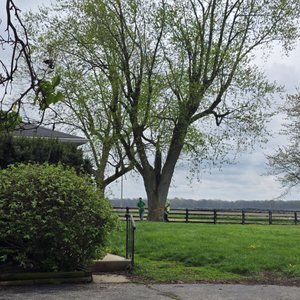 BUCKEYE METAL SALES - Updated December 2025 - 21 Photos - 406 Jamison ...