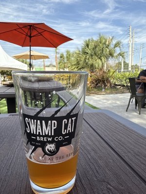 SWAMP CAT BREW - Updated May 2025 - 56 Photos & 20 Reviews - 1943 ...