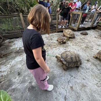 CROC ENCOUNTERS - Updated March 2025 - 293 Photos & 148 Reviews - 8703 ...