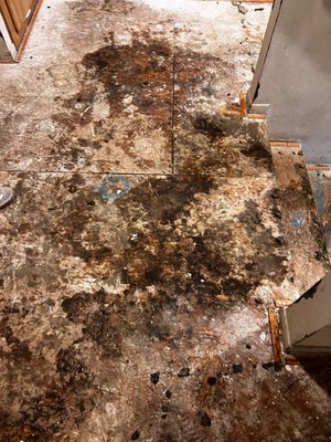 SAVE PRO RESTORATION - Updated December 2025 - 108 Photos & 45 Reviews ...