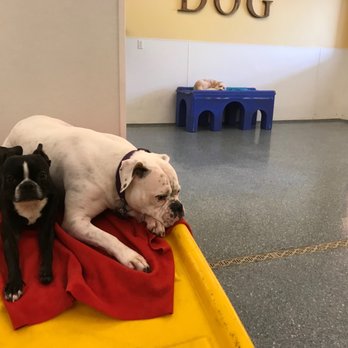 MR. MUGGLES’ DOGS - Updated July 2025 - 63 Photos & 99 Reviews - 2175 ...