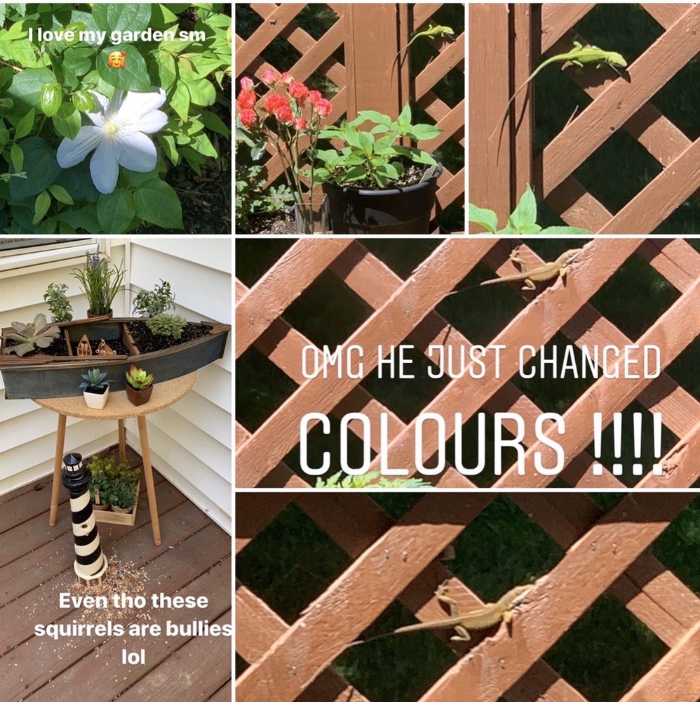 WILD BIRDS UNLIMITED - Updated October 2025 - 4412-110 Falls Of Neuse ...