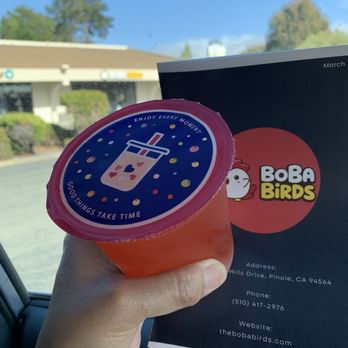 BOBA BIRDS - Updated June 2024 - 168 Photos & 102 Reviews - 1569 Tara ...
