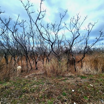 GOOSEBERRY ISLAND - Updated October 2025 - 28 Photos - E Beach Rd ...