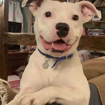 DOUBLES BEACHSIDE - 66 Photos & 114 Reviews - 1612 Hwy A1A, Satellite ...