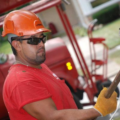 SMITTY’S TREE SERVICE - Updated October 2025 - 84 Photos & 61 Reviews ...