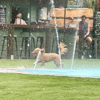 BREWHOUND DOG PARK + BAR - Updated November 2025 - 268 Photos & 131 ...