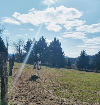 LAZY C FARM - Updated November 2025 - 17 Photos - 3996 Scott Rd ...