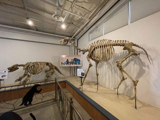 FOSSIL DISCOVERY CENTER OF MADERA COUNTY - Museum at 19450 Ave 21 1/2 ...