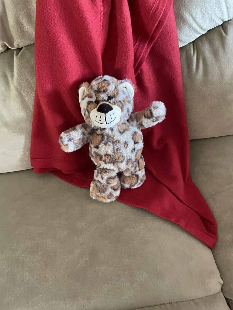 DOUBLE TAKE PIZZA - Updated July 2025 - 32 Photos & 44 Reviews - 403 N ...