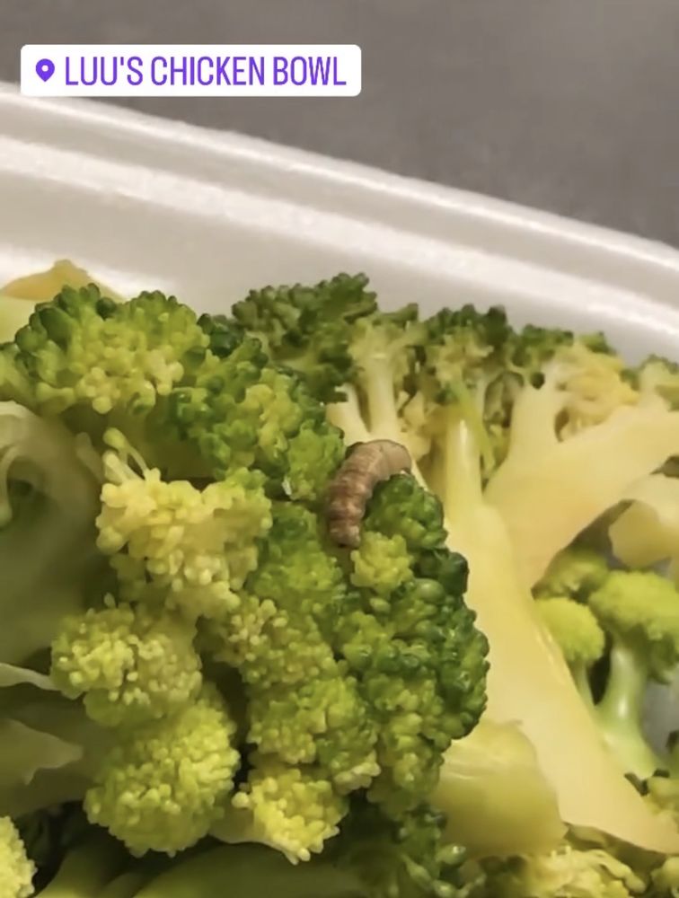 Photos of LUU’S CHICKEN BOWL - Updated August 2024 - 95 Photos & 132 ...