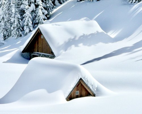 WEBFOOT HOME IMPROVEMENTS - Updated September 2025 - 53 Photos & 66 ...