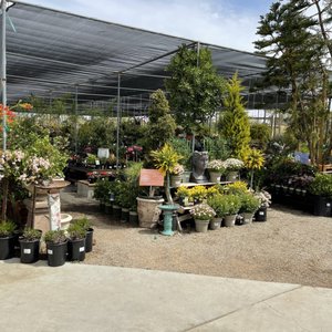 LOUIE’S NURSERY - 257 Photos & 144 Reviews - 16310 Porter Ave ...