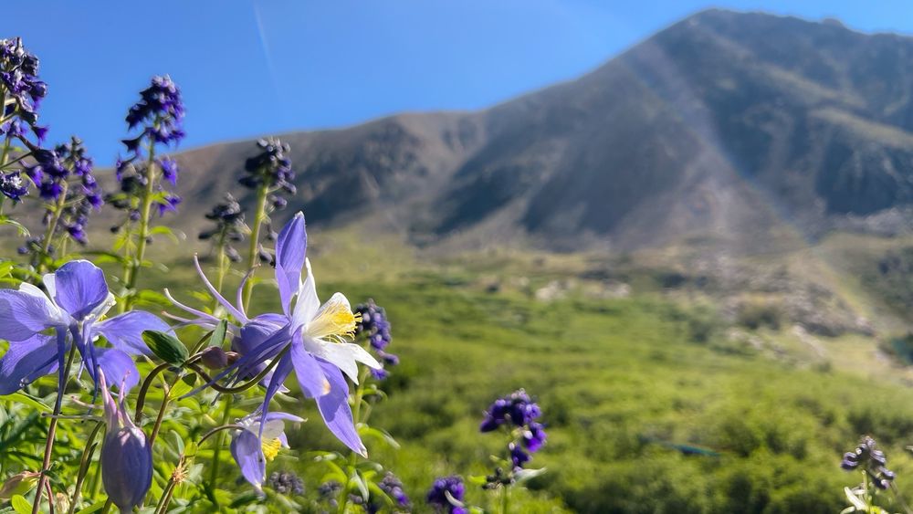 SHELF LAKE - Updated December 2024 - 18 Photos - Co Rd 1038, Grant ...