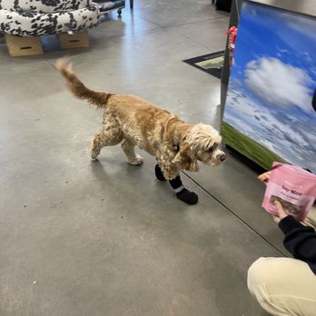 DEE-O-GEE - Updated December 2025 - 21 Photos & 46 Reviews - 2051 Oak ...