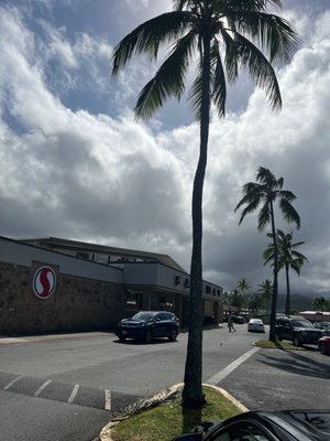 SAFEWAY - Updated December 2025 - 242 Photos & 82 Reviews - 200 Hamakua ...