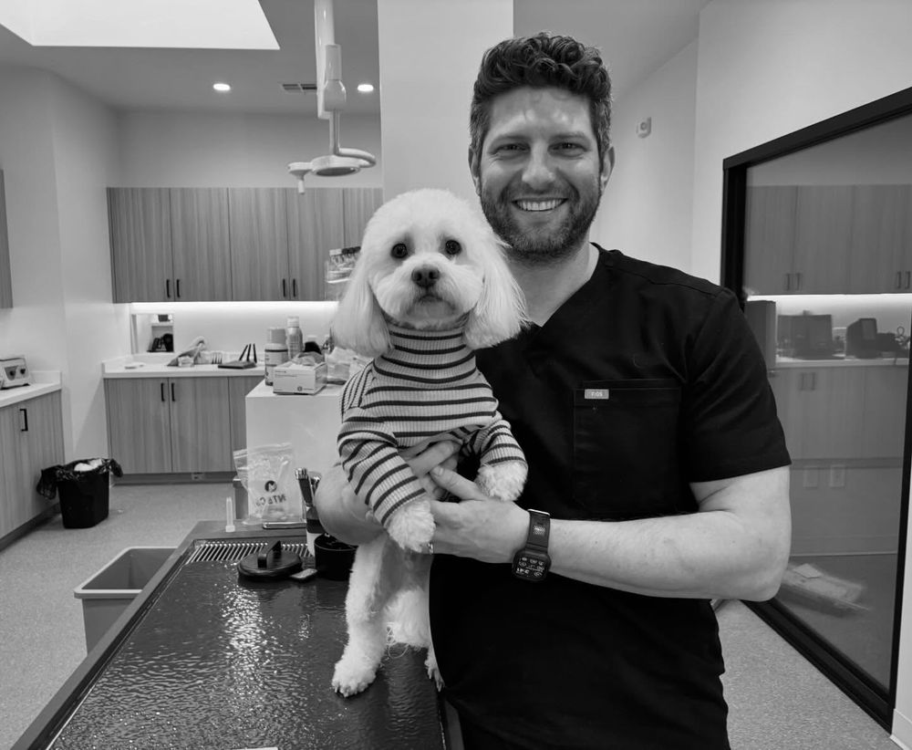 PAW PRIORITY - Updated November 2025 - 22 Photos & 23 Reviews - 8020 Melrose Ave, Los Angeles ...