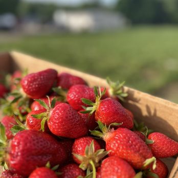 CAVANNA’S FARM - Updated October 2025 - 44 Photos & 18 Reviews - 80 ...