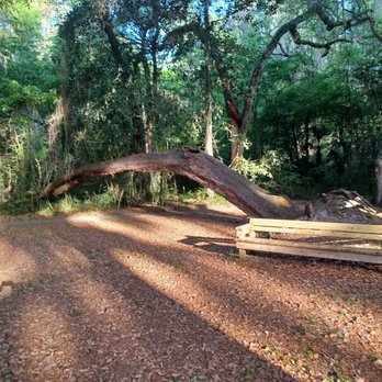 BIVENS ARM NATURE - Updated December 2025 - 44 Photos - 3650 S Main St ...