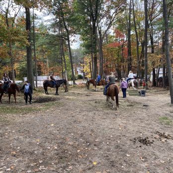 LUCKY 7 STABLES - Updated September 2025 - 54 Photos & 51 Reviews - 154 ...