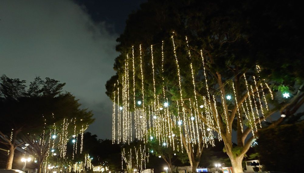 DEMPSEY HILL - Updated September 2024 - 14 Photos - Blk 8D Dempsey Rd ...