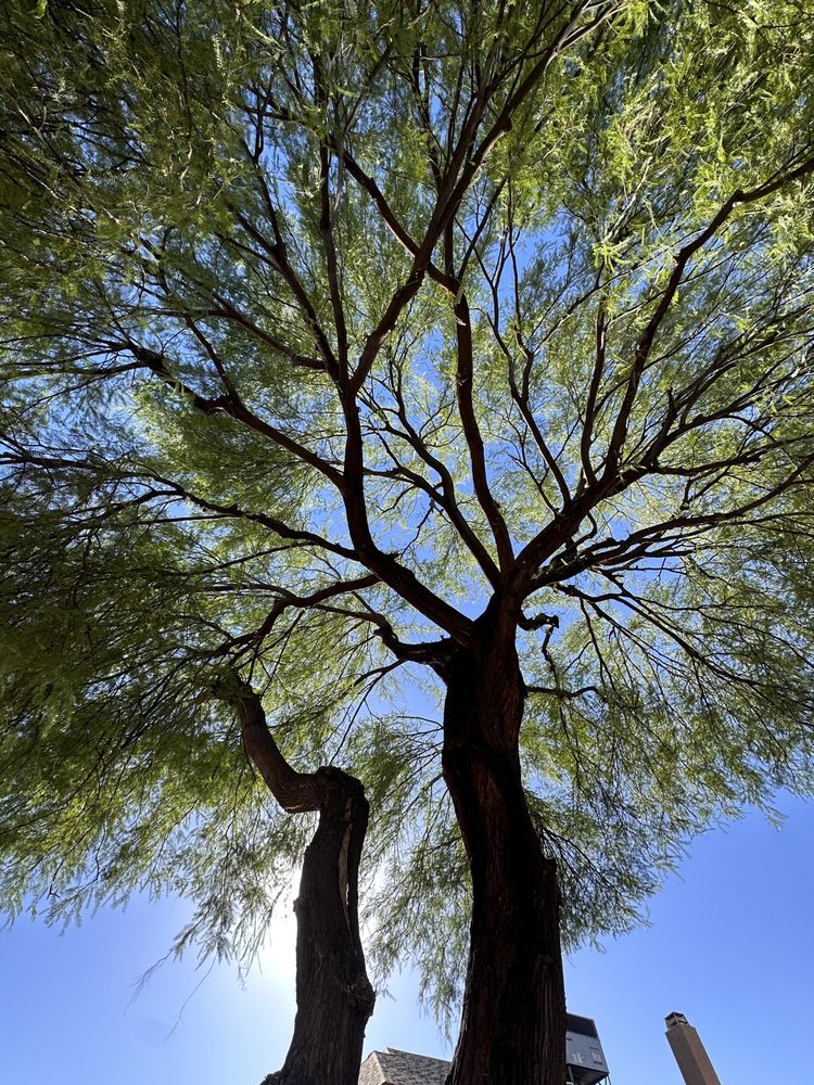 LIBRA LANDSCAPING - Updated December 2025 - 25 Photos - 11248 W ...