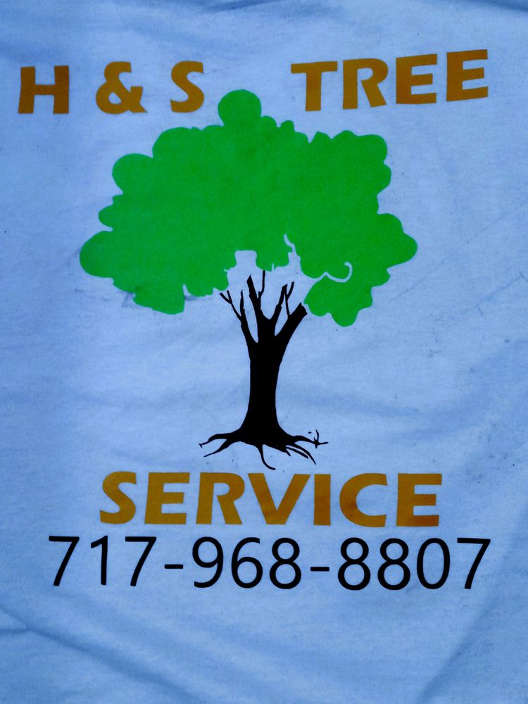 H&S TREE SERVICE - Updated October 2025 - 22 Photos - Hanover ...