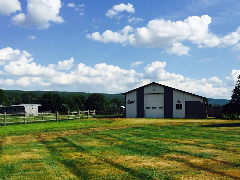 THE WHITNEY FARM - Updated October 2025 - 11 Photos - 576 Pine Meadow ...