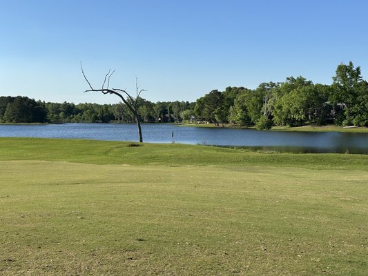 THE GOLF CLUB AT SUMMERBROOKE - Updated December 2025 - 13 Photos & 12 ...