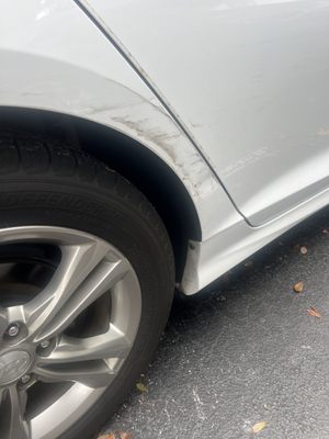 RICK CASE HYUNDAI PLANTATION - Updated December 2025 - 98 Photos & 431 ...