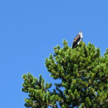 MACKS INN RIVER ADVENTURES - Updated May 2025 - 22 Photos & 19 Reviews ...