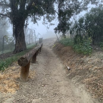 MURPHY RANCH PARK - Updated December 2025 - 224 Photos & 61 Reviews ...