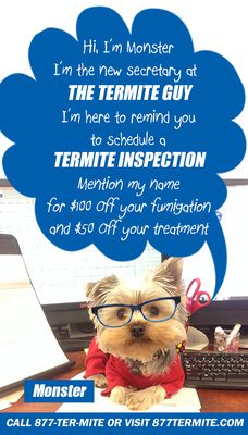 THE TERMITE GUY - Updated September 2025 - 80 Photos & 507 Reviews ...
