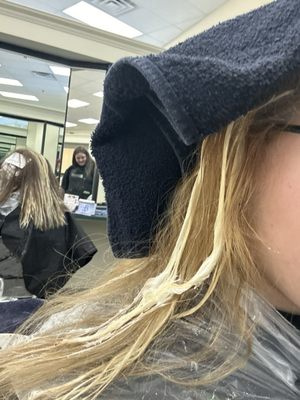 EVERGREEN BEAUTY COLLEGE - Updated December 2025 - 29 Photos & 65 ...