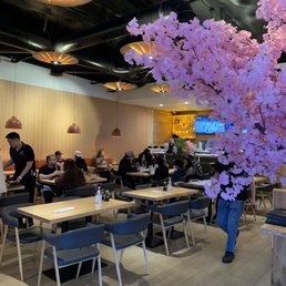 OSAKA HOUSE RAMEN & SUSHI - Updated August 2025 - 286 Photos & 246 ...