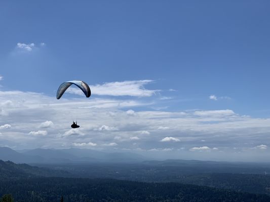 POO POO POINT - CHIRICO TRAIL - 446 Photos & 153 Reviews - Issaquah ...